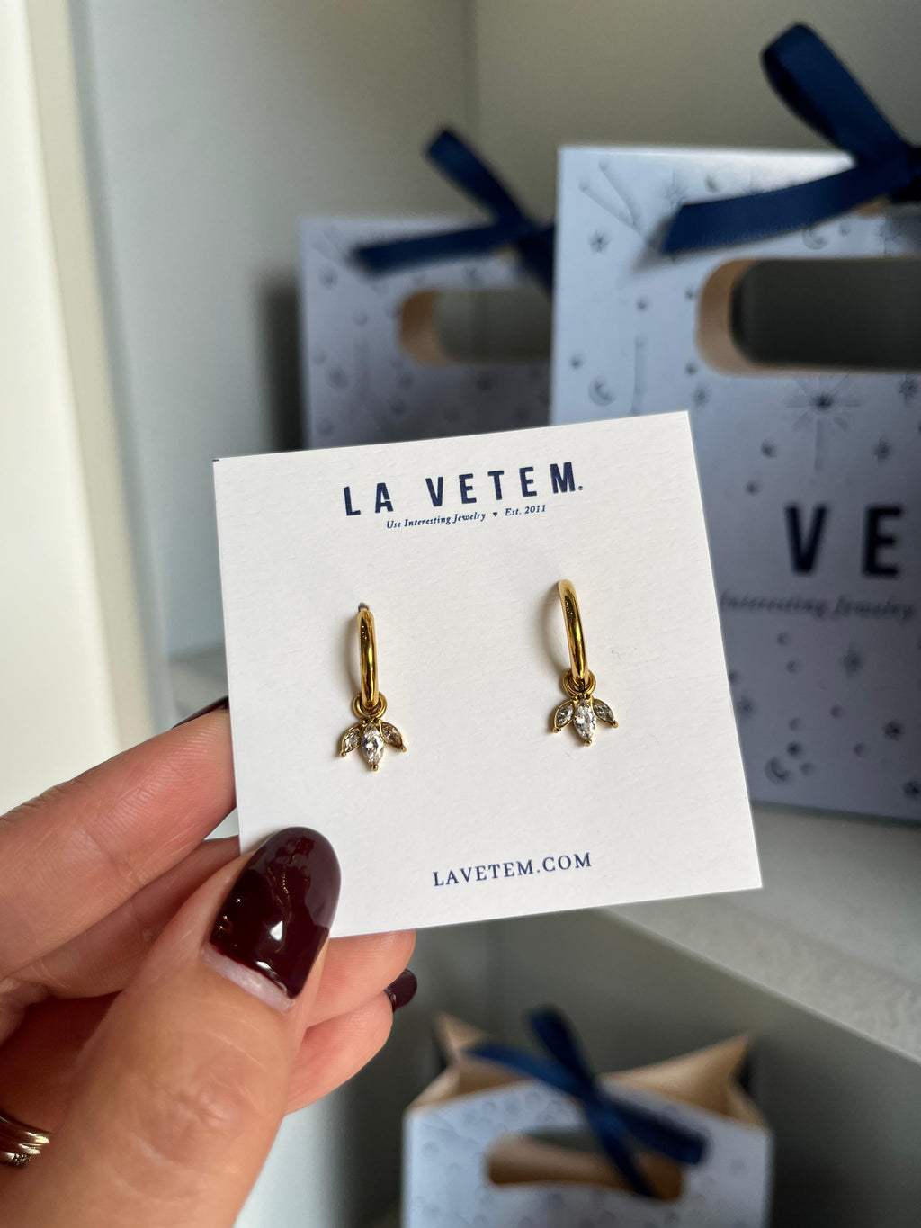 Ceres Hoops – LA VETEM