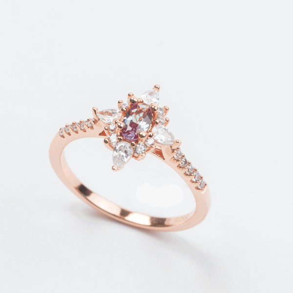 Anillos – LA VETEM