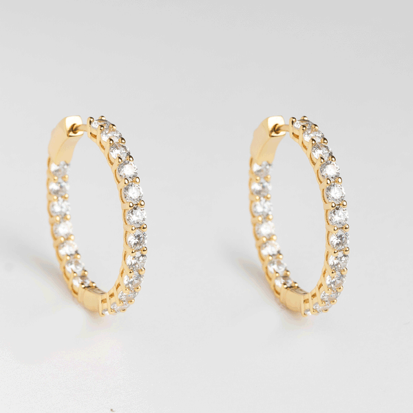 Novedades – LA VETEM