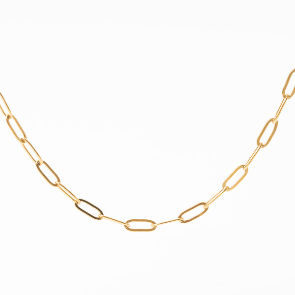 Novedades – LA VETEM