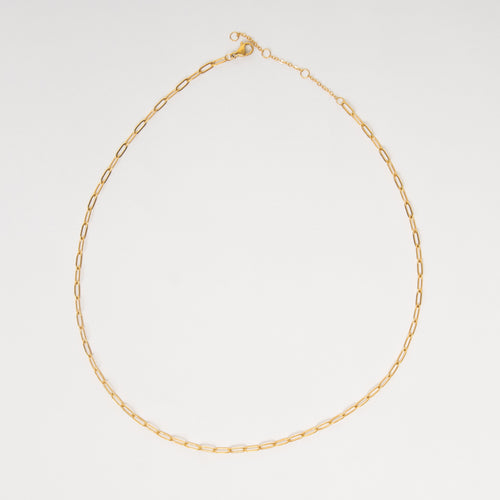 Novedades – LA VETEM